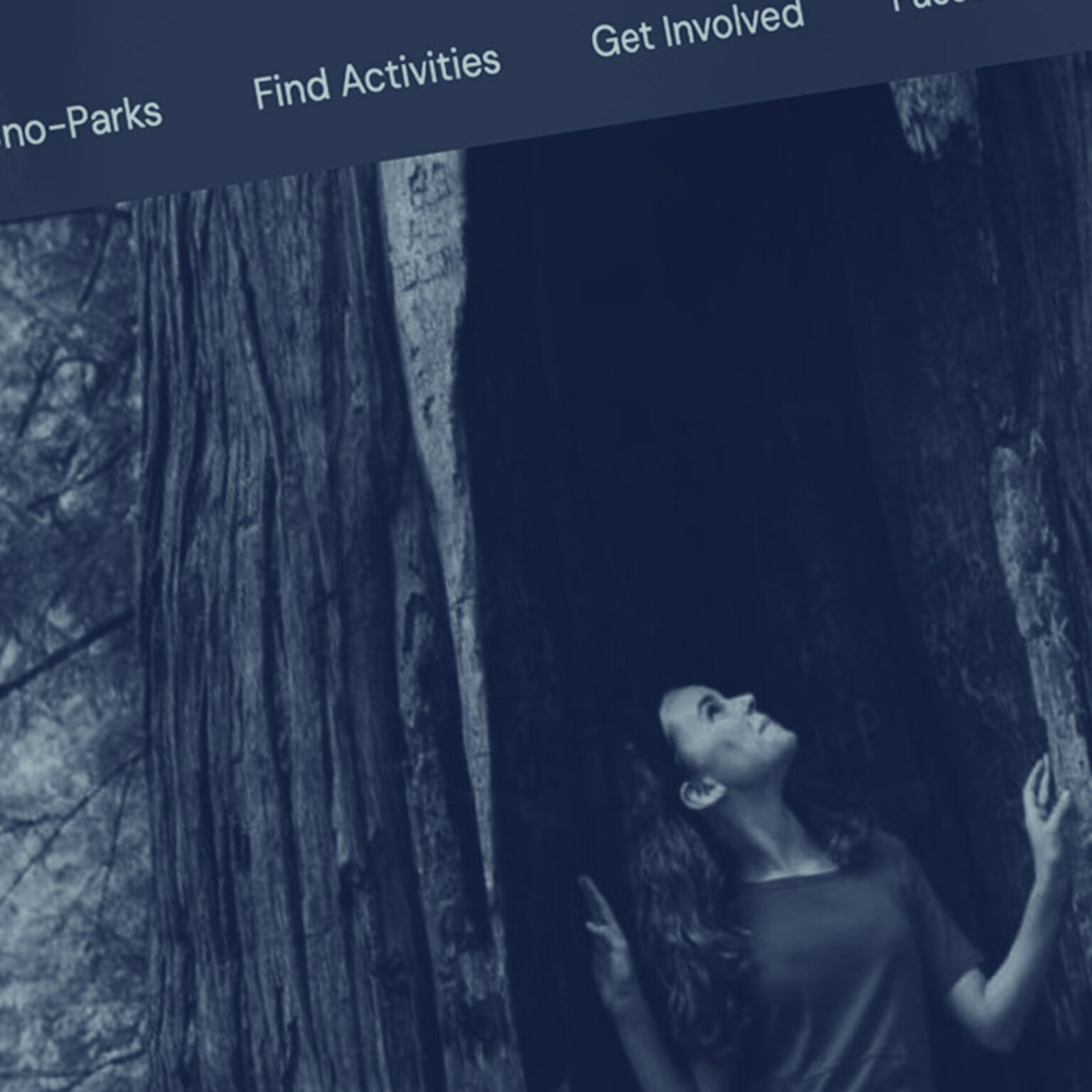 Case Studies and Projects | Anthro-Tech