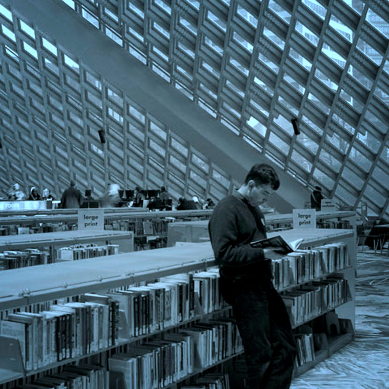 Case Studies and Projects | Anthro-Tech