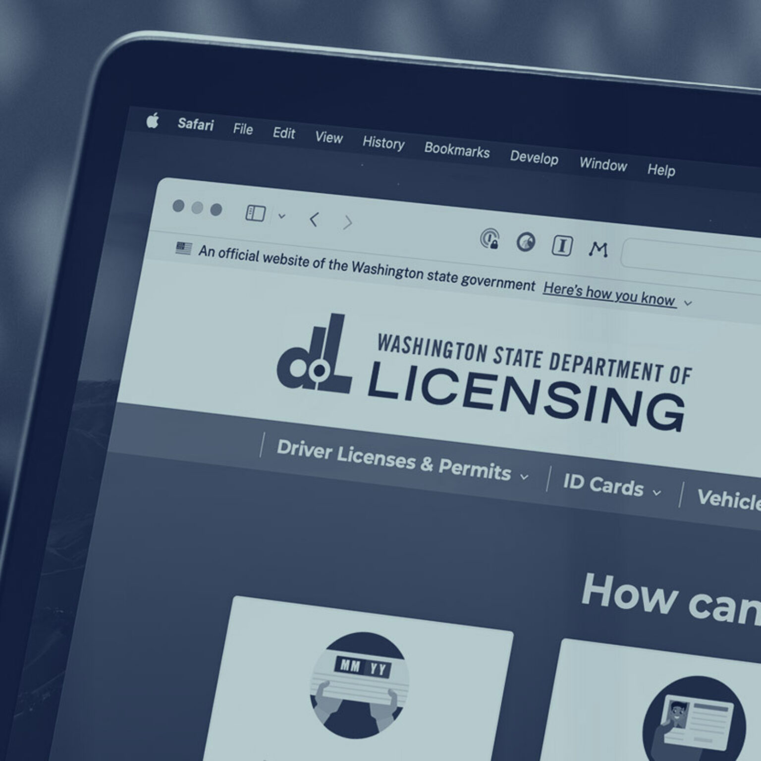 Case Studies and Projects | Anthro-Tech