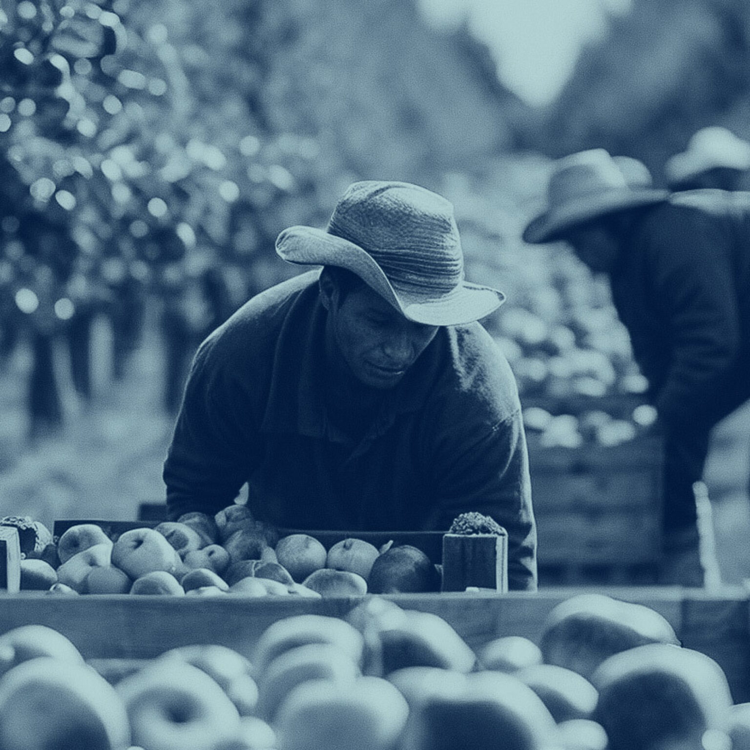 Case Studies and Projects | Anthro-Tech